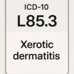 A comprehensive guide to icd 10 code xerotic dermatitis - wmwtl