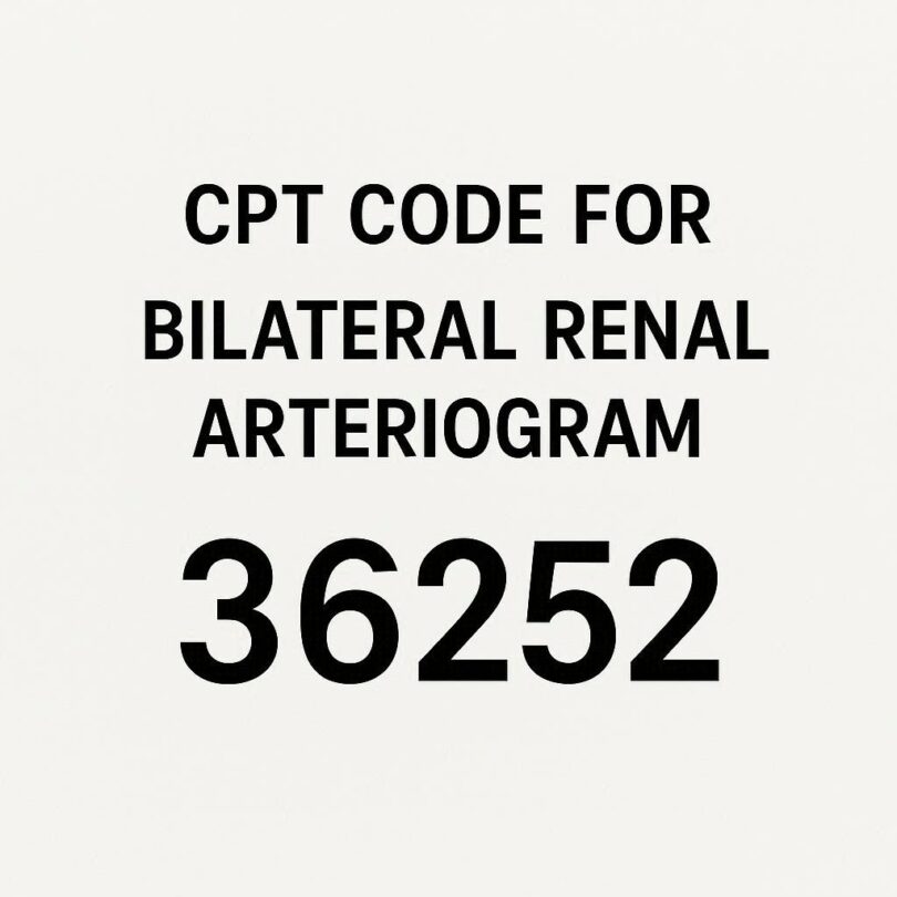 CPT Code for Bilateral Renal Arteriogram: A Complete Billing Guide - wmwtl